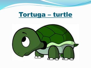 Animals animales English - Spanish | PPTX