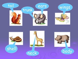animals-body-partspresentationforkids.ppt