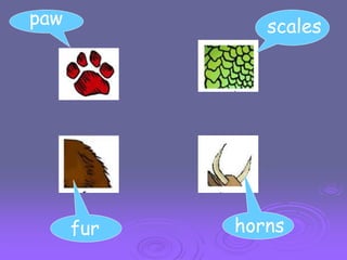animals-body-partspresentationforkids.ppt