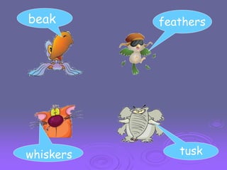 animals-body-partspresentationforkids.ppt