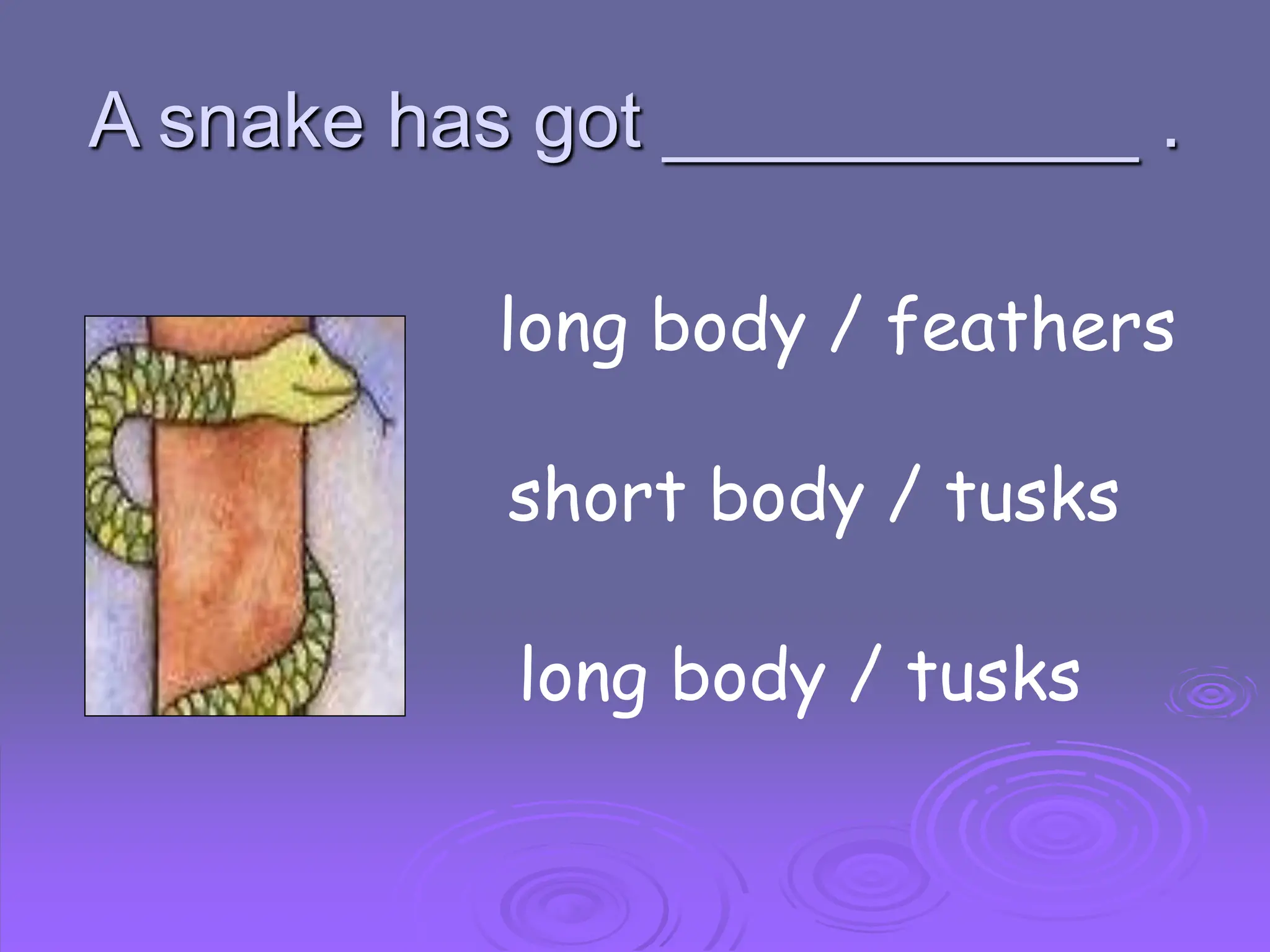 animals-body-parts-games-reading-comprehension-exercises_14356.ppt