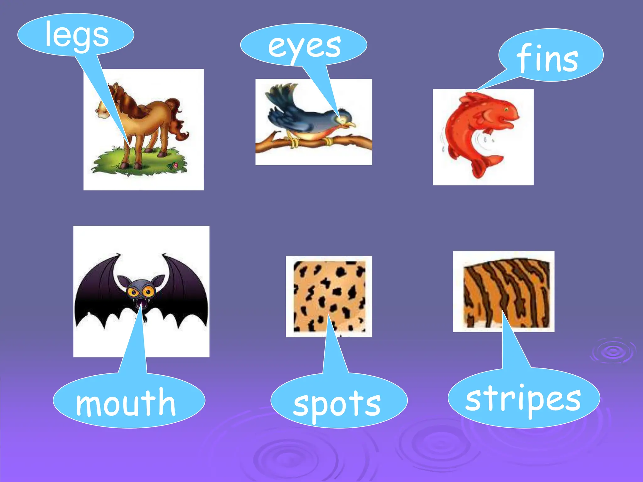animals-body-parts-games-reading-comprehension-exercises_14356.ppt