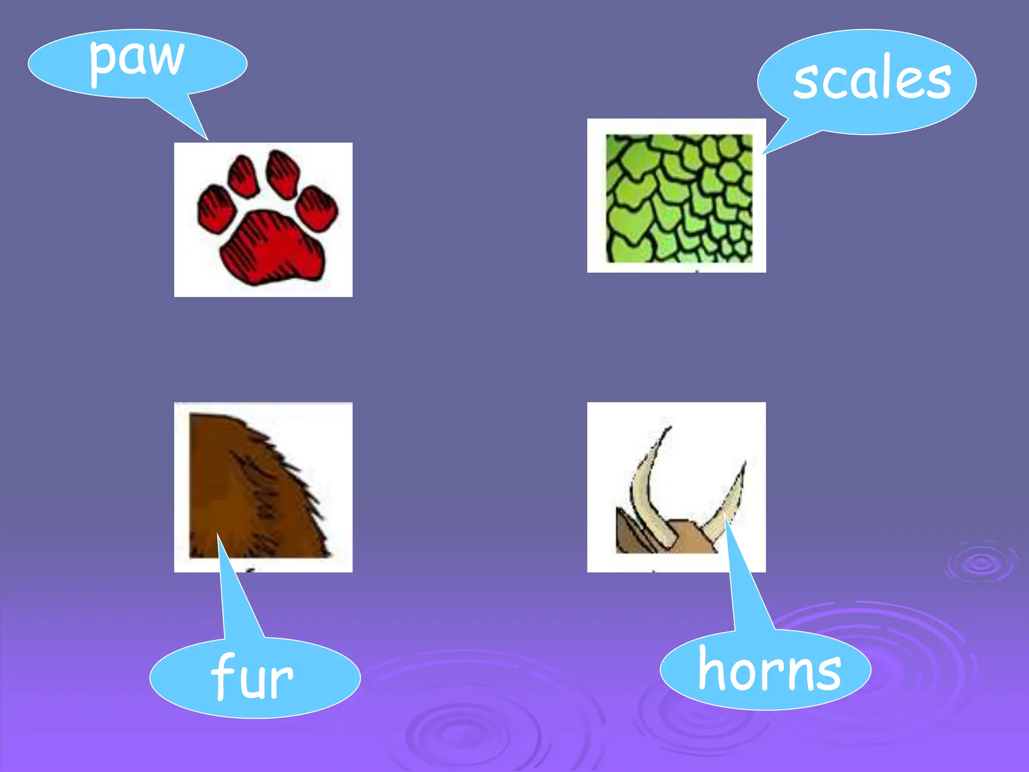 animals-body-parts-games-reading-comprehension-exercises_14356.ppt