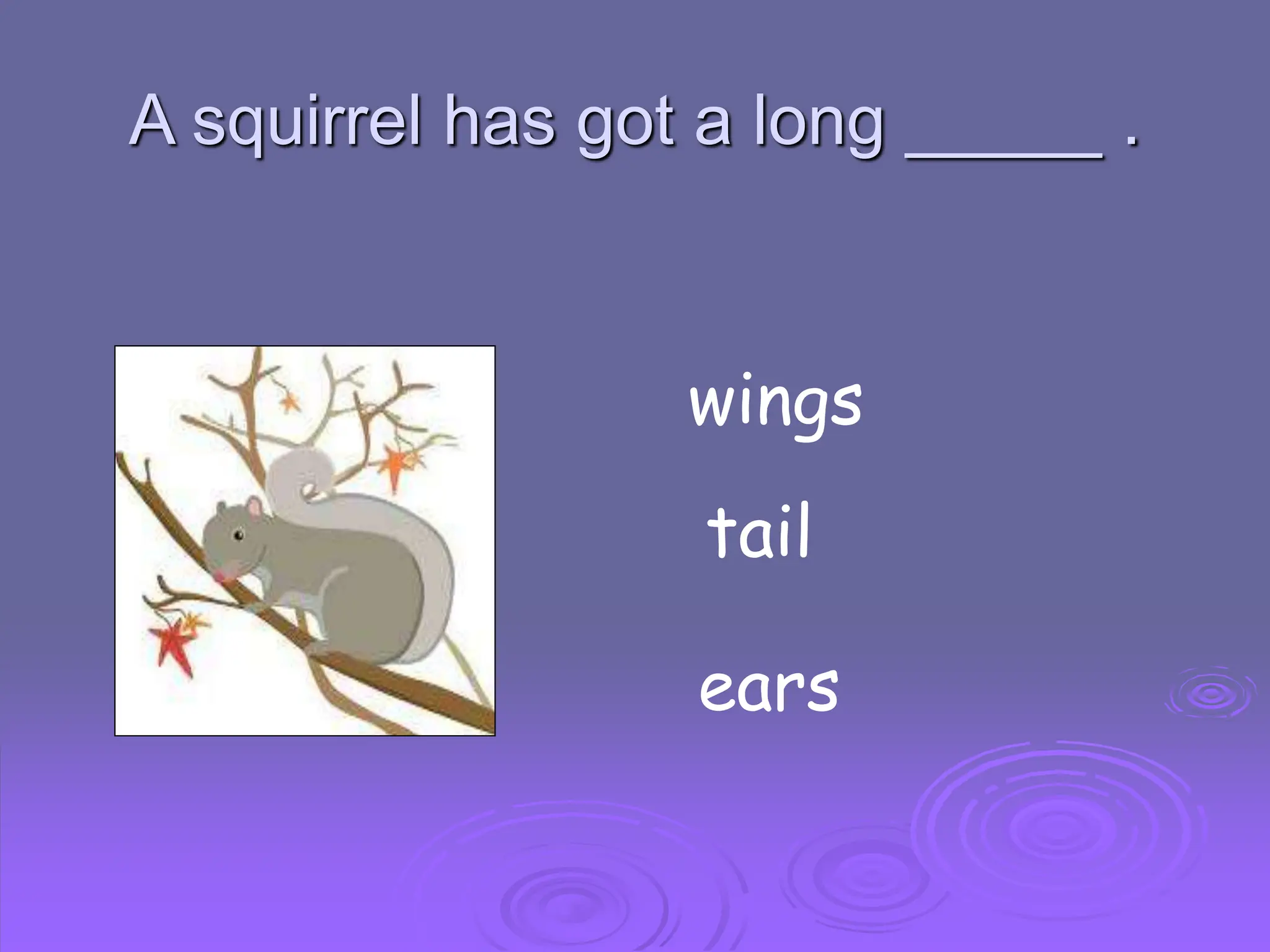 animals-body-parts-games-reading-comprehension-exercises_14356.ppt