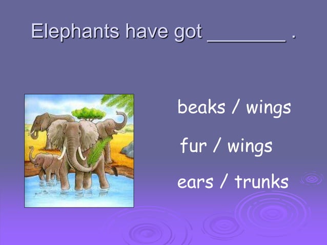 animals-body-parts-games-reading-comprehension-exercises_14356.ppt