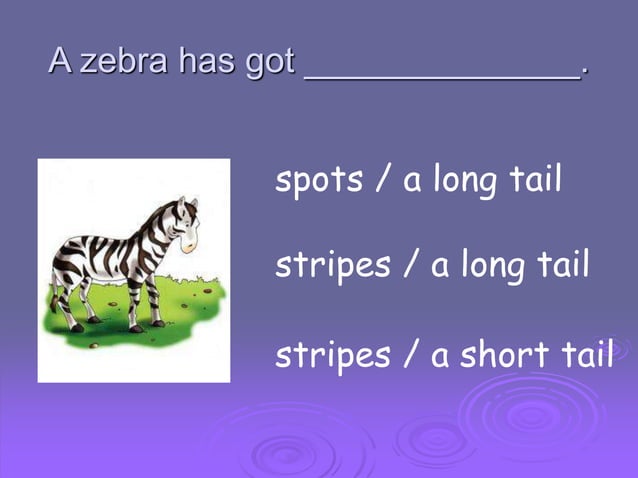 animals-body-parts-games-reading-comprehension-exercises_14356.ppt