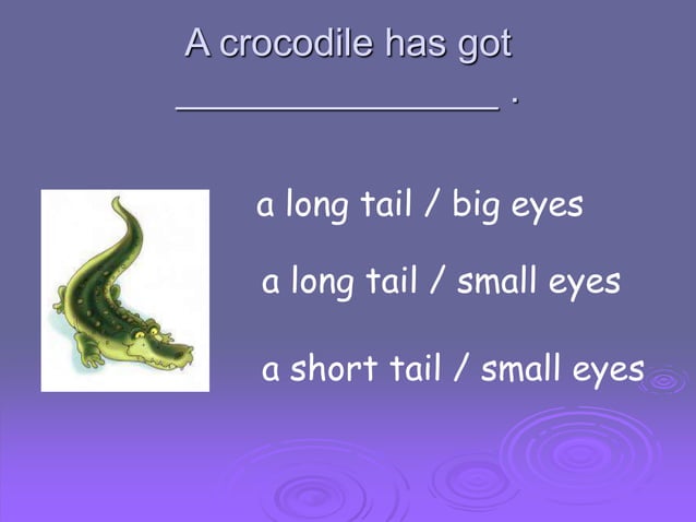 animals-body-parts-games-reading-comprehension-exercises_14356.ppt