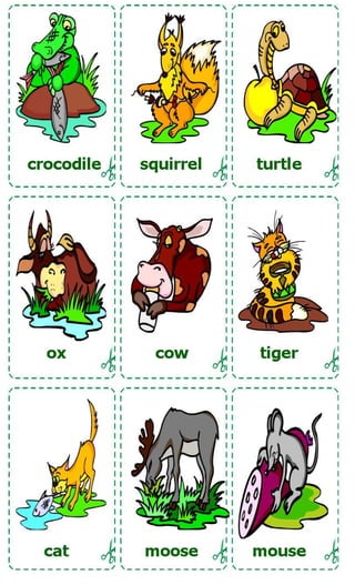 Animals cards | DOC