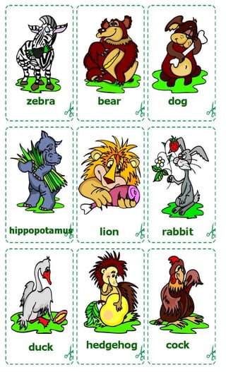 Animals cards | DOC