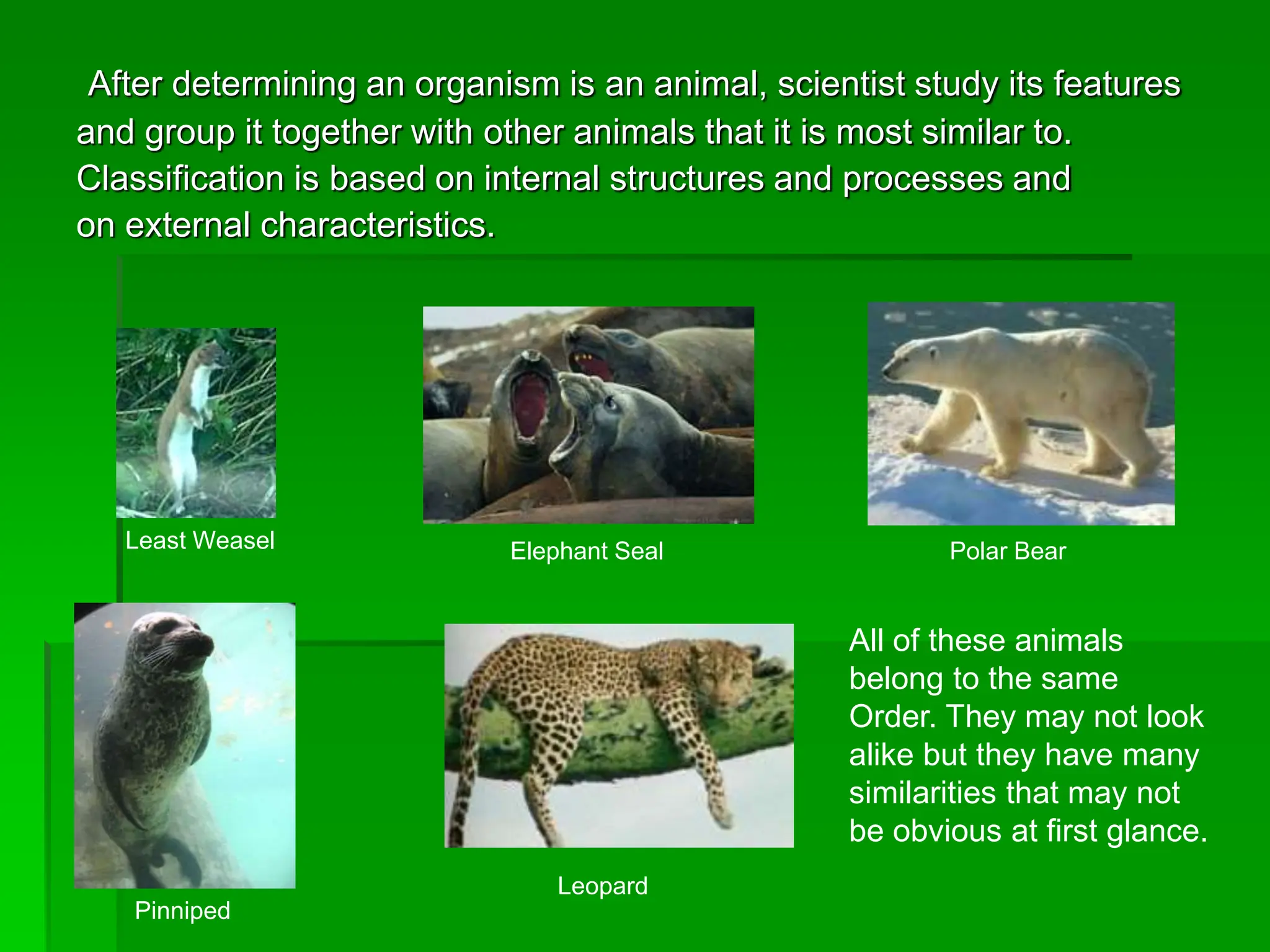 Animals characteristics and classification | PPT | Biological Sciences ...