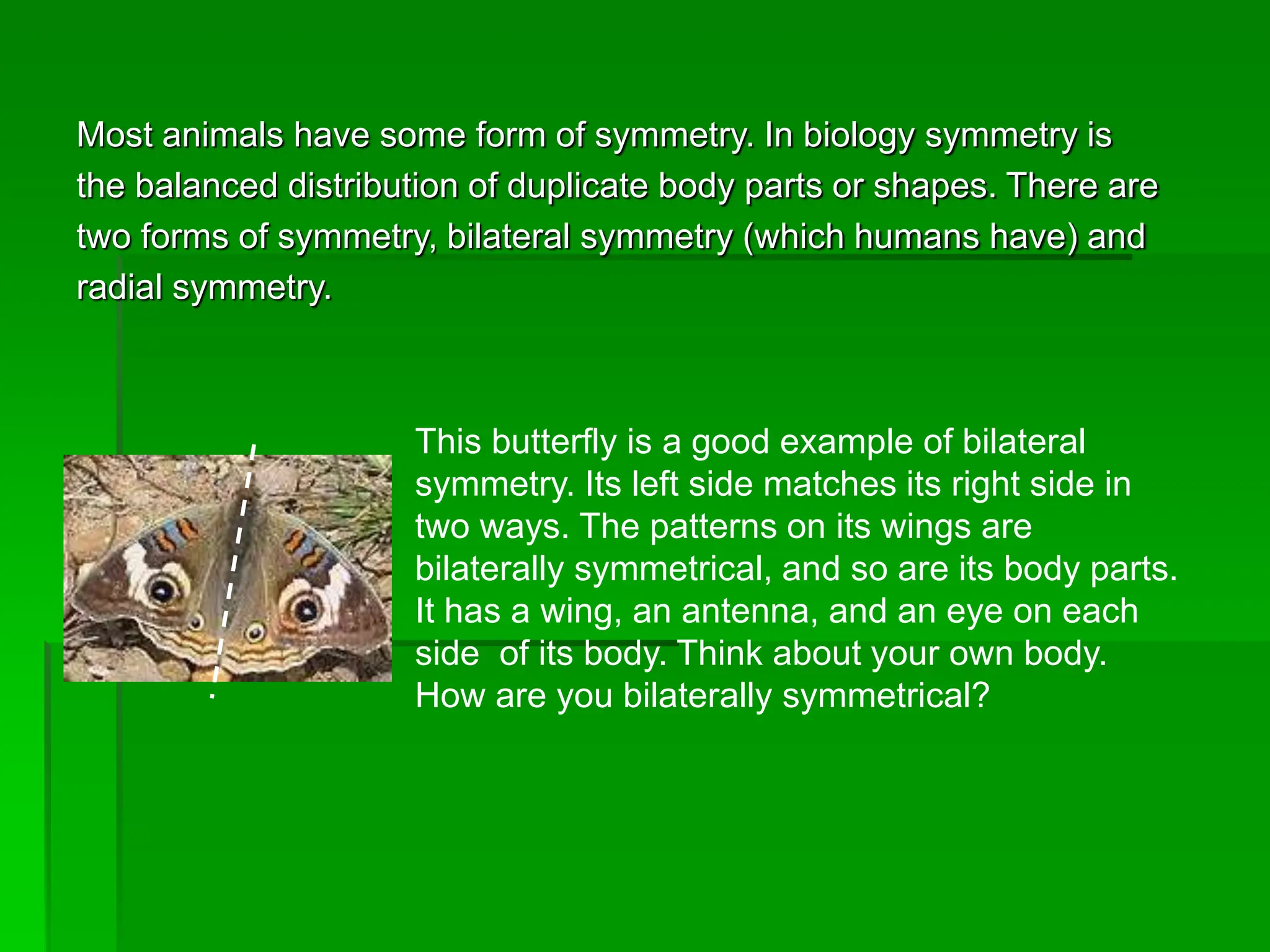 Animals characteristics and classification | PPT | Biological Sciences ...