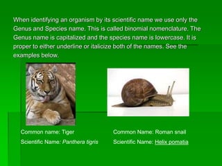 Animals characteristics and classification | PPT | Biological Sciences ...