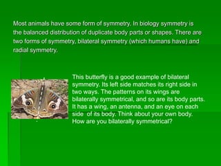 Animals characteristics and classification | PPT