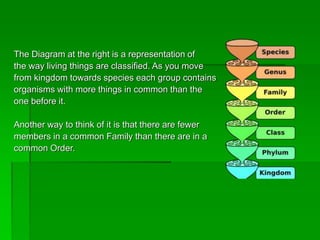 Animals-class-and-char know about animals.ppt