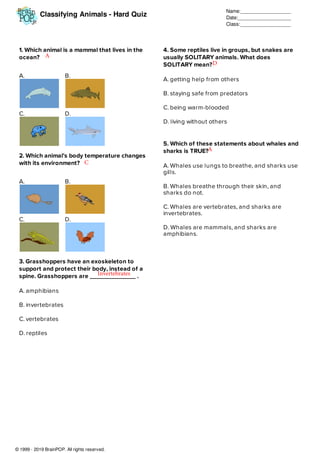 Animals classifying animals-hard-quizz | PDF