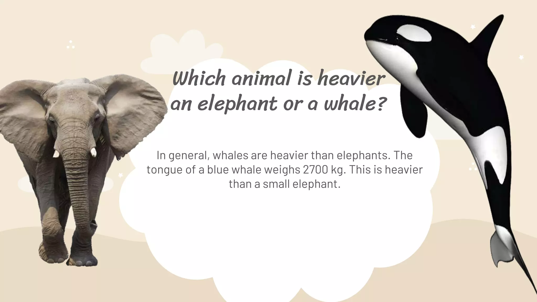 Animals comparatives | PPTX