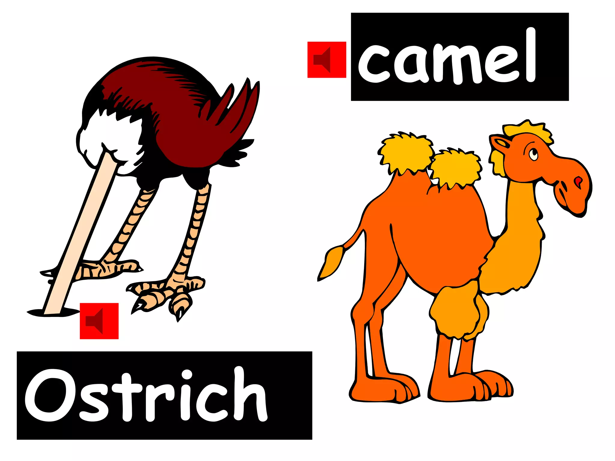 animals-english for kids - Copy.pptx