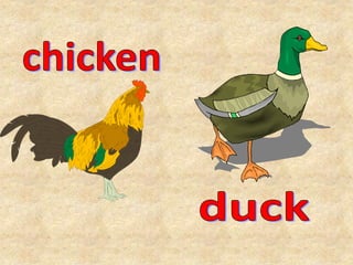 animals-english for kids - Copy.pptx