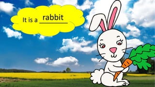 animals-flashcards-picture-description-exercises-picture-d_86794.pptx