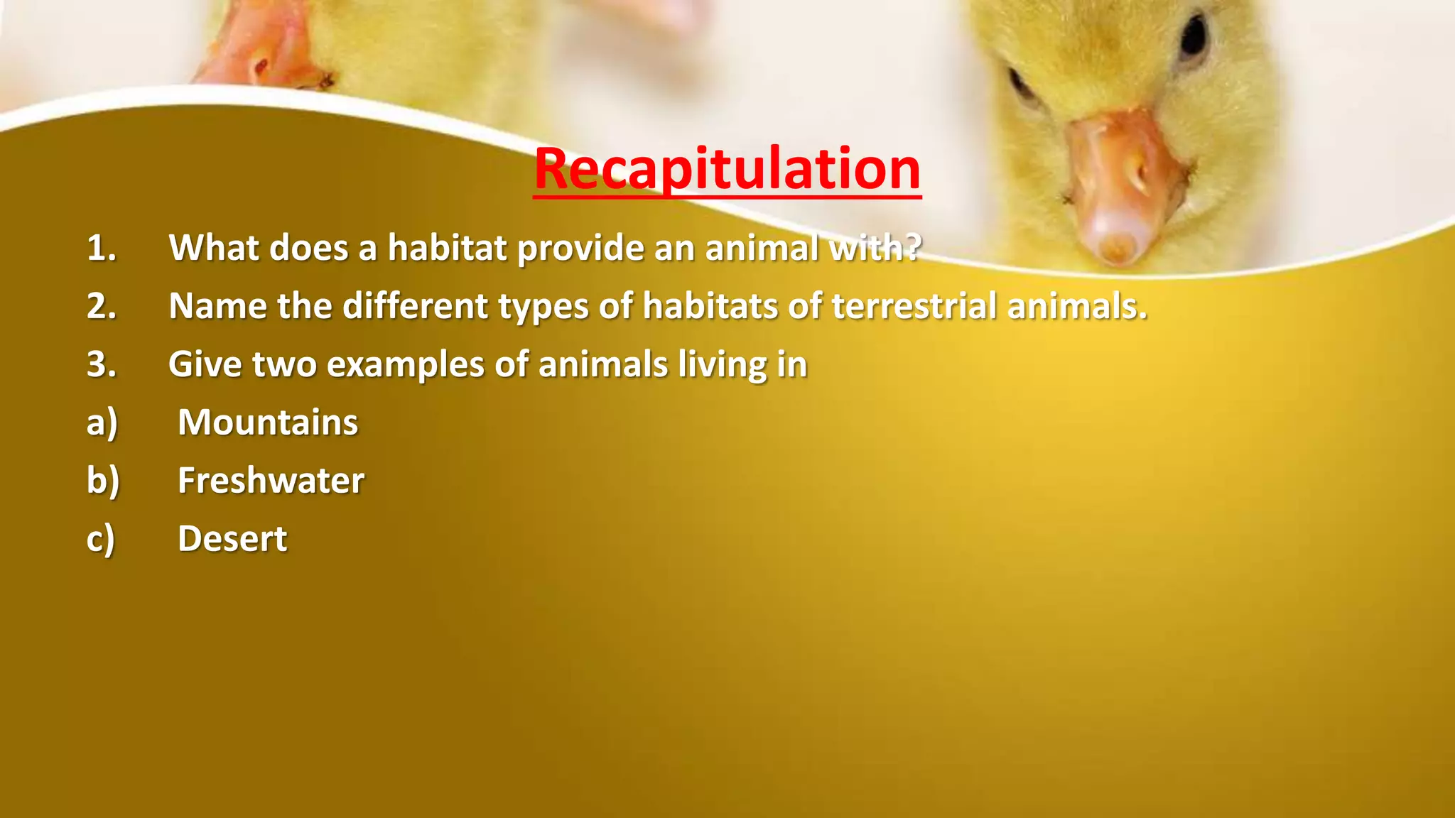Animals habitat and adaptations- habitat | PPTX