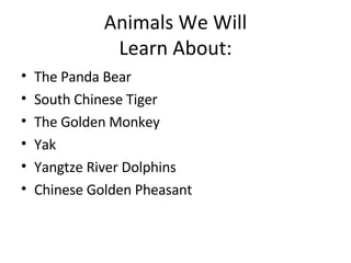 Animals In China | PPT
