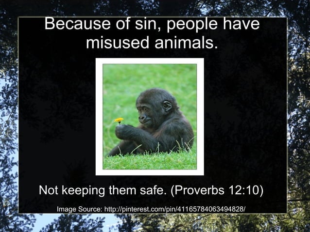 Animals-in-the-Bible.ppt Animal in the b | PPT