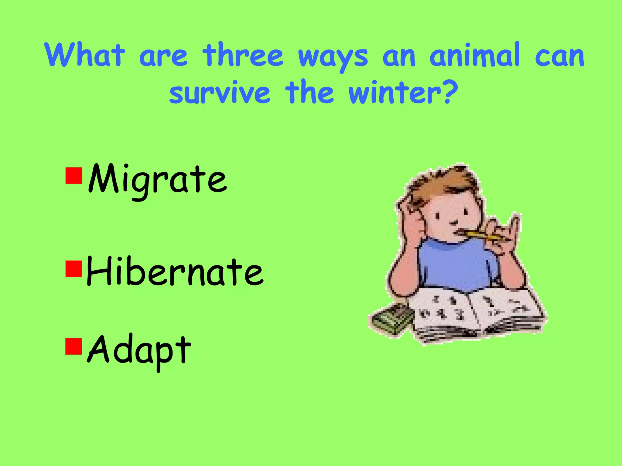 Animals In Winter | PPT