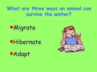Animals In Winter | PPT