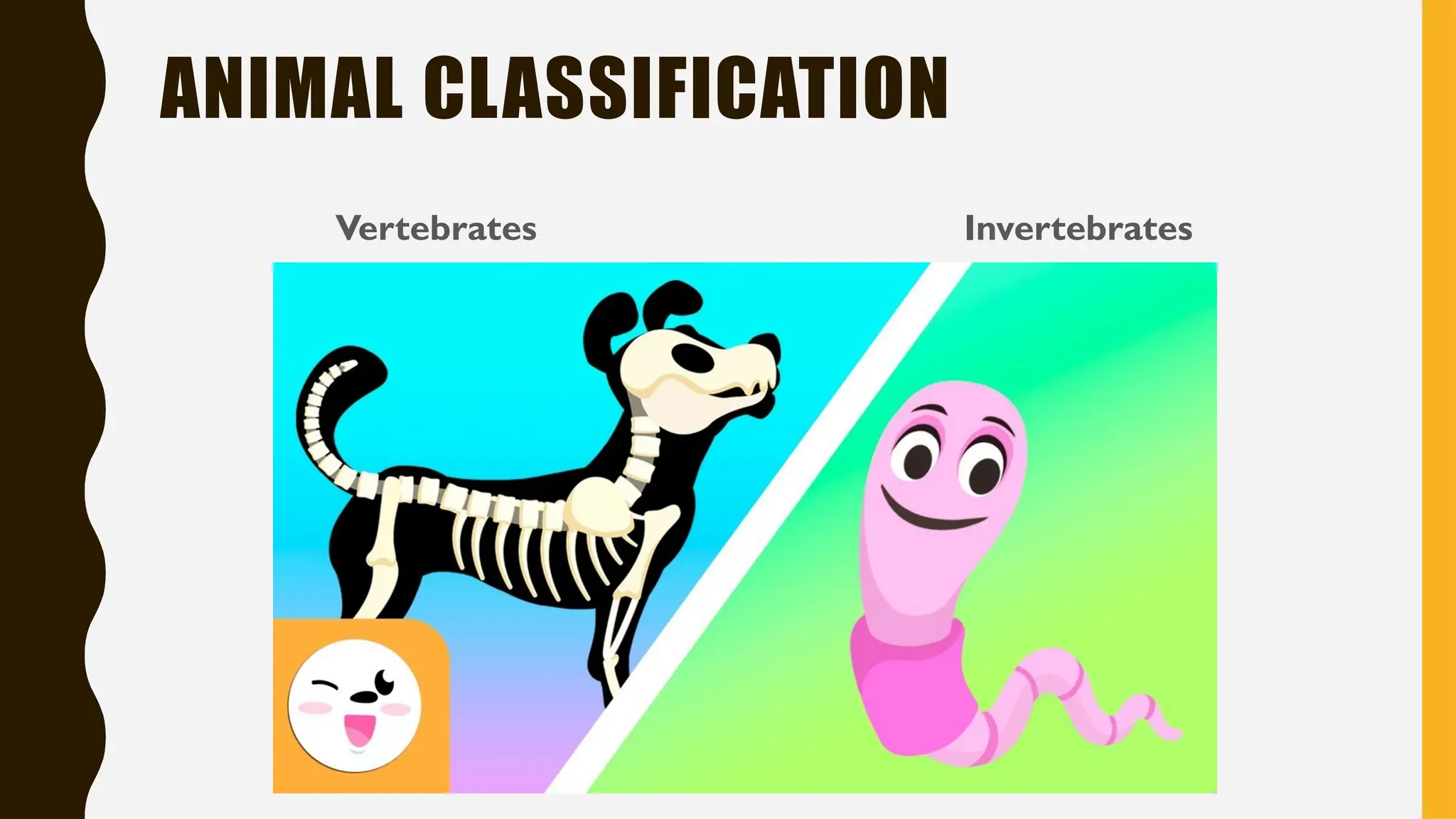 Animals - invertebrates classification.pptx