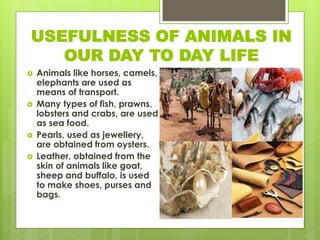 Animals - our friends , CLASS V | PDF