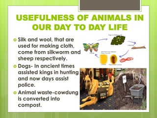 Animals - our friends , CLASS V | PDF