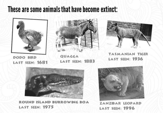 Extinct Animals In The Last 100000000 Years