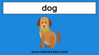 Animals-PowerPpoint.pptx