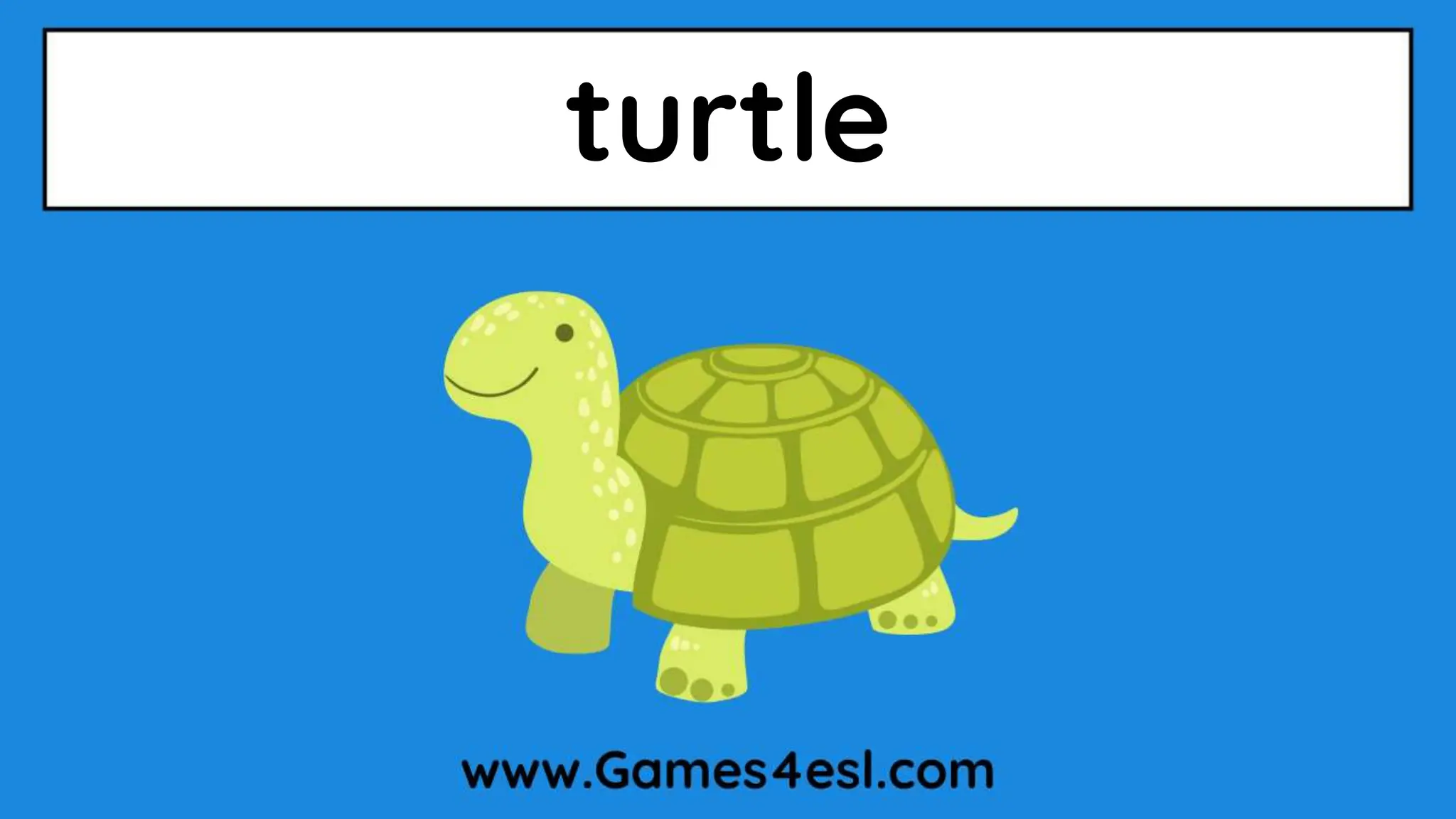 Animals-PowerPpoint.pptx