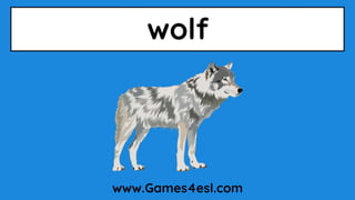 Animals-PowerPpoint.pptx