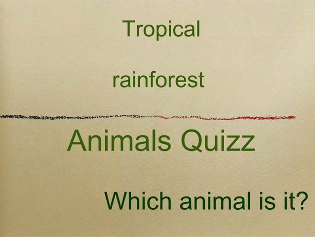 Tropical rainforest animals quizz | PPT