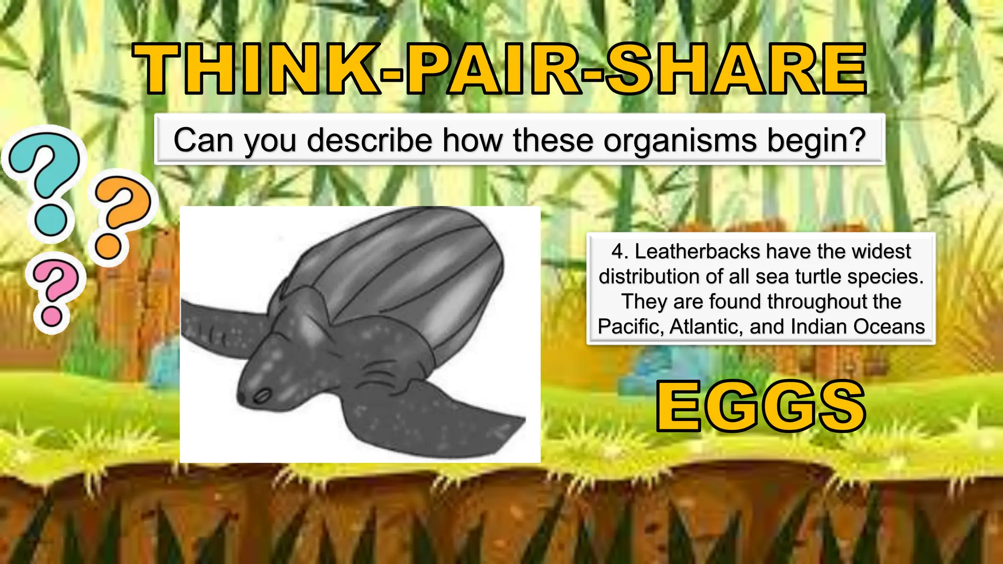 ANIMALS-REP-PPT.pptx Animal Reproduction | PPTX