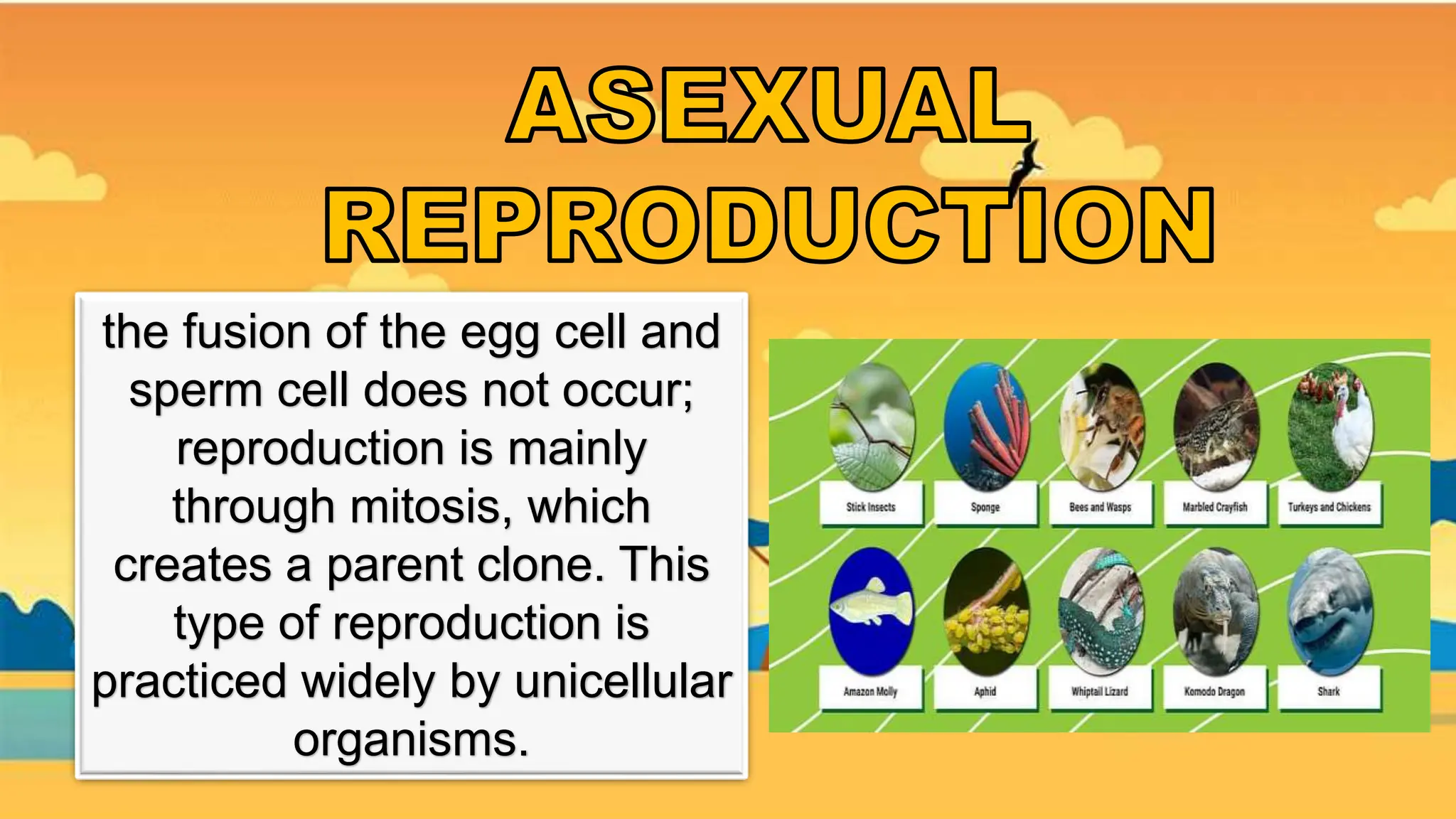ANIMALS-REP-PPT.pptx Animal Reproduction | PPTX