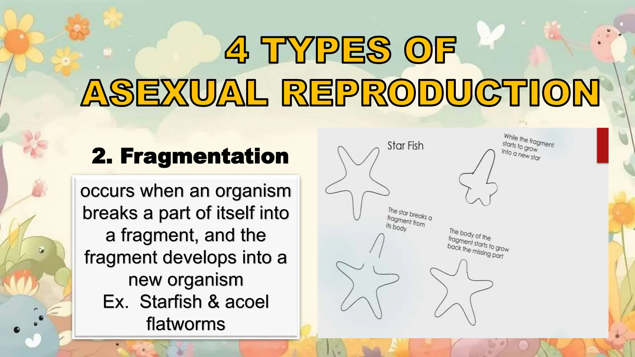 ANIMALS-REP-PPT.pptx Animal Reproduction | PPTX