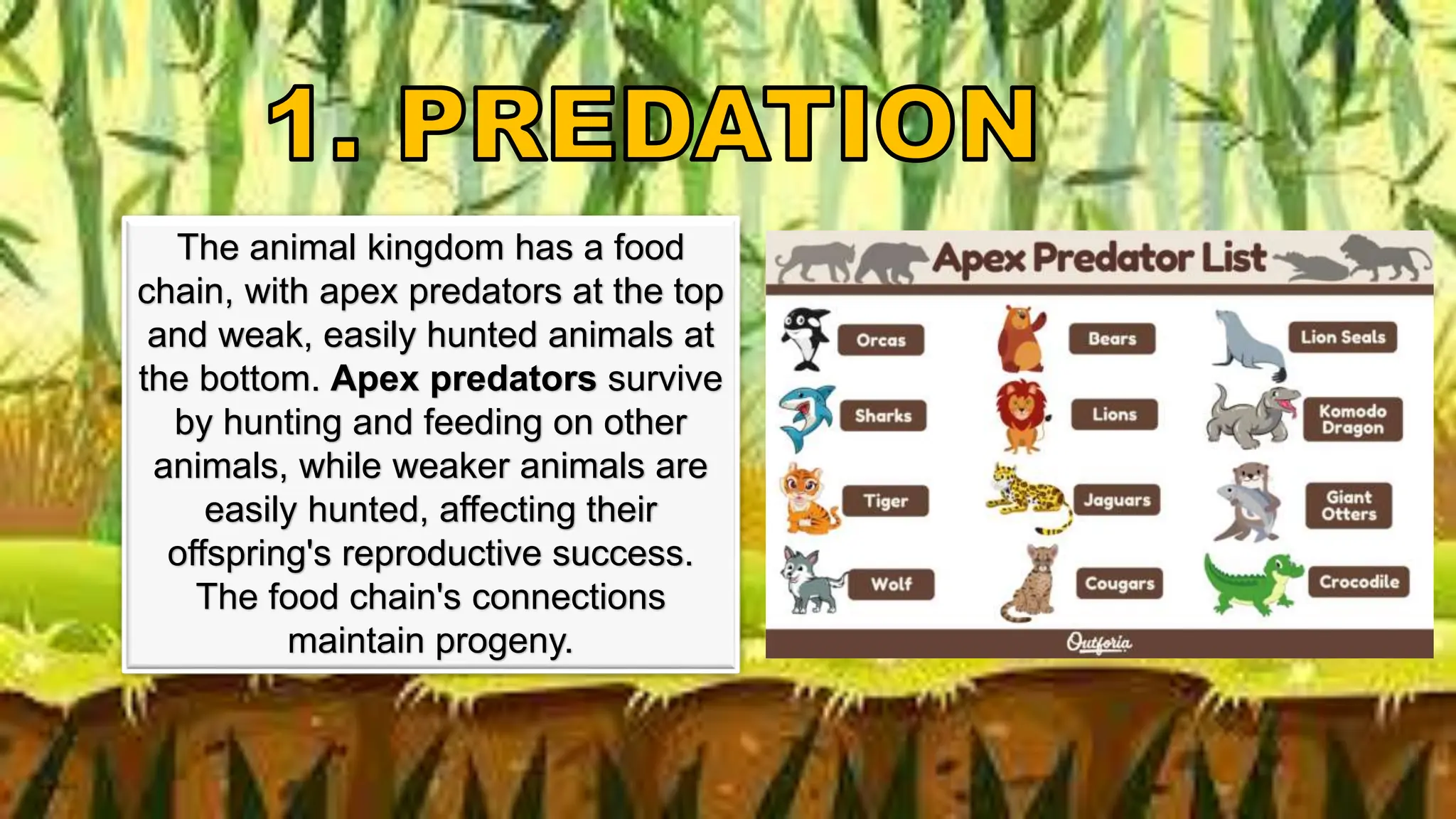 ANIMALS-REP-PPT.pptx Animal Reproduction | PPTX