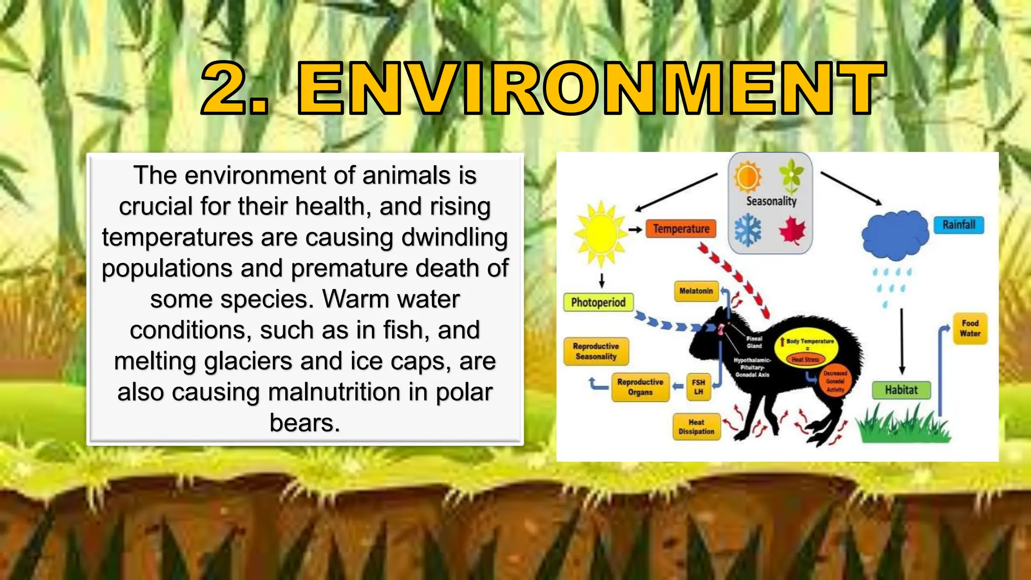 ANIMALS-REP-PPT.pptx Animal Reproduction | PPTX