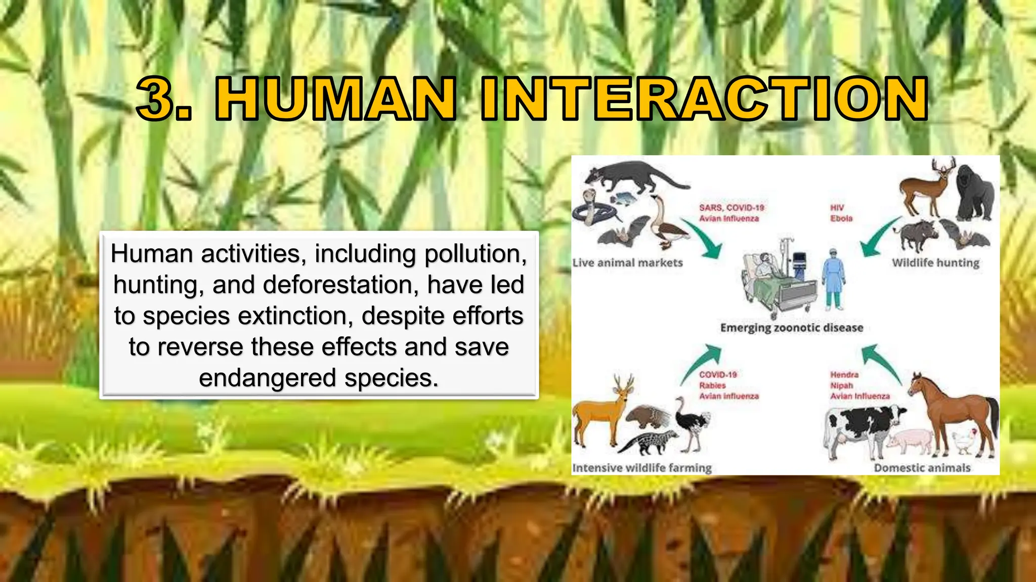 ANIMALS-REP-PPT.pptx Animal Reproduction | PPTX