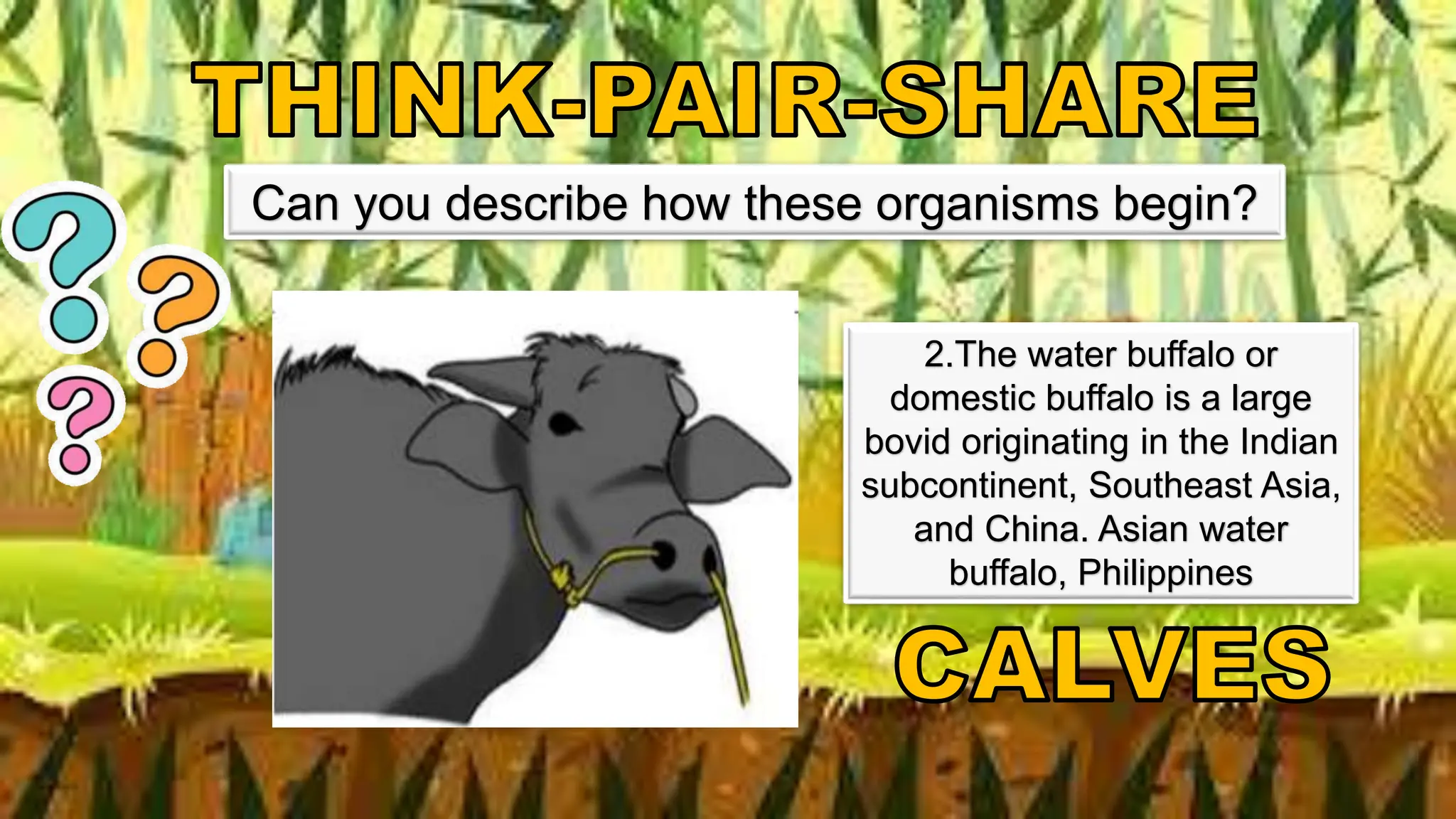 ANIMALS-REP-PPT.pptx Animal Reproduction | PPTX