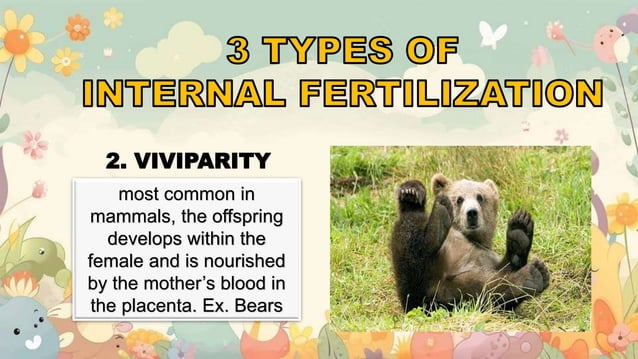 ANIMALS-REP-PPT.pptx Animal Reproduction | PPT