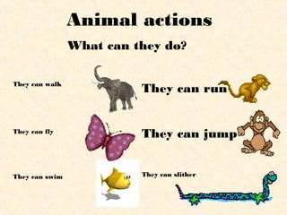 Animals repaso de primero. | PPT