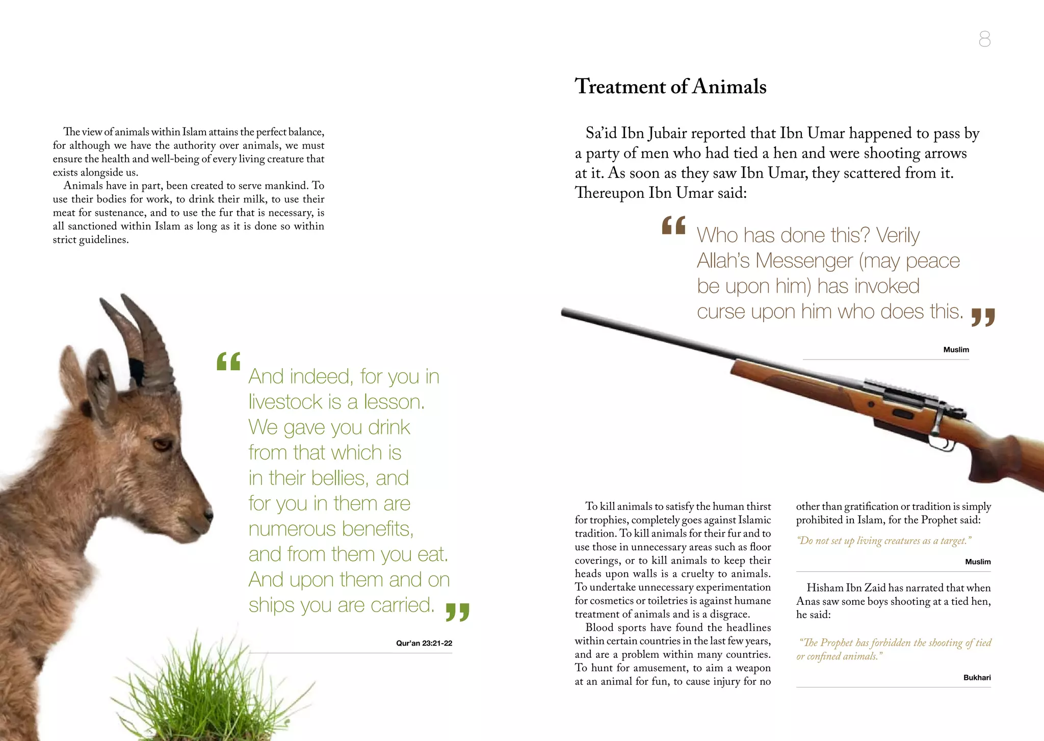 The Rights of Animals in Islam | PDF