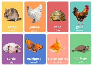 Animals - Spanish Vocabulary - Flashcards.pdf