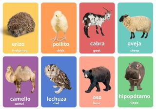 Animals - Spanish Vocabulary - Flashcards.pdf