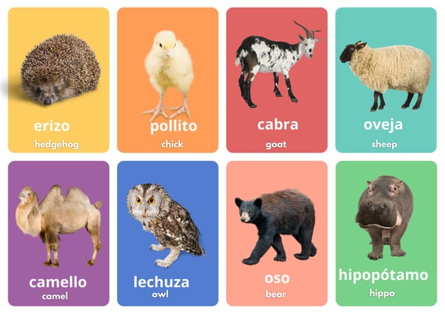 Animals - Spanish Vocabulary - Flashcards.pdf