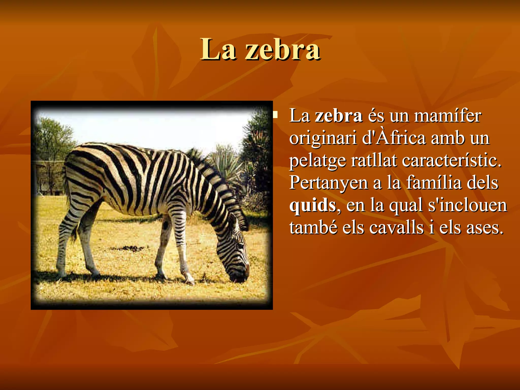 Animals Terrestres | PPT